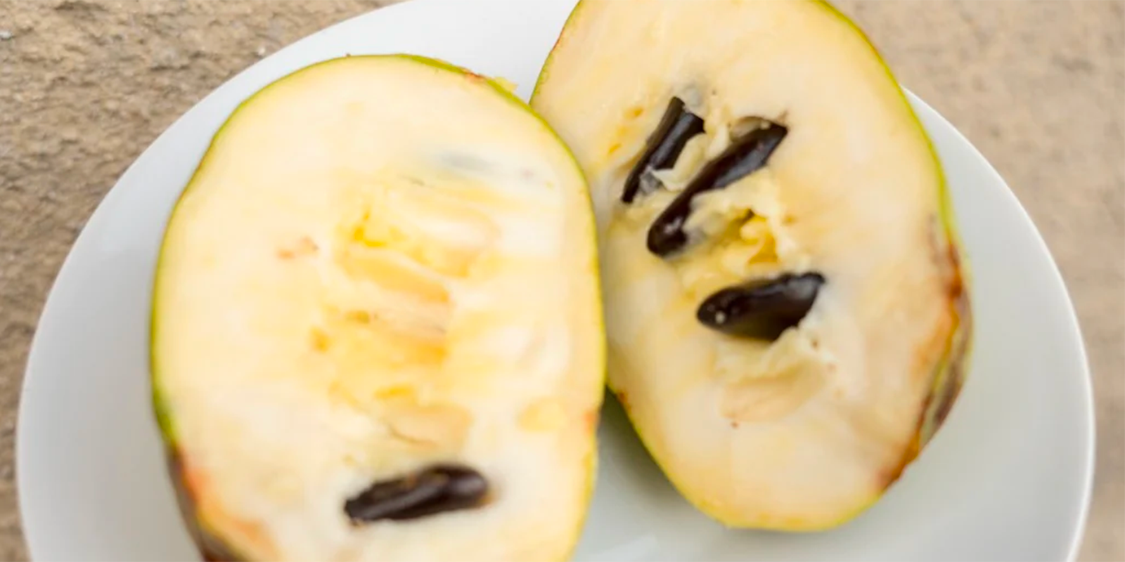What does American Paw Paw taste like? – Exotica NZ