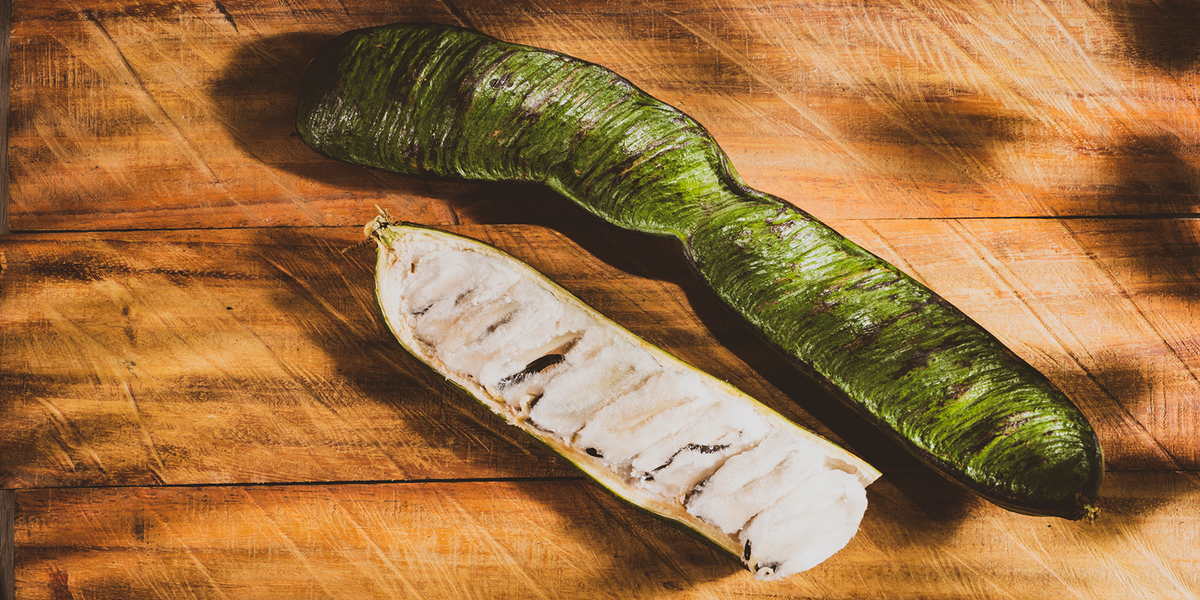 What does Inga Bean, Ice Cream Bean or Snow Fruit taste like? – Exotica NZ