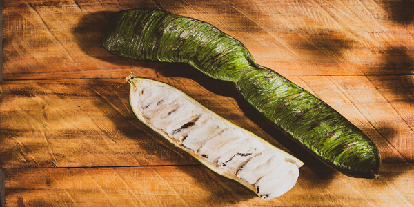 What does Inga Bean, Ice Cream Bean or Snow Fruit taste like? - Exotica NZ