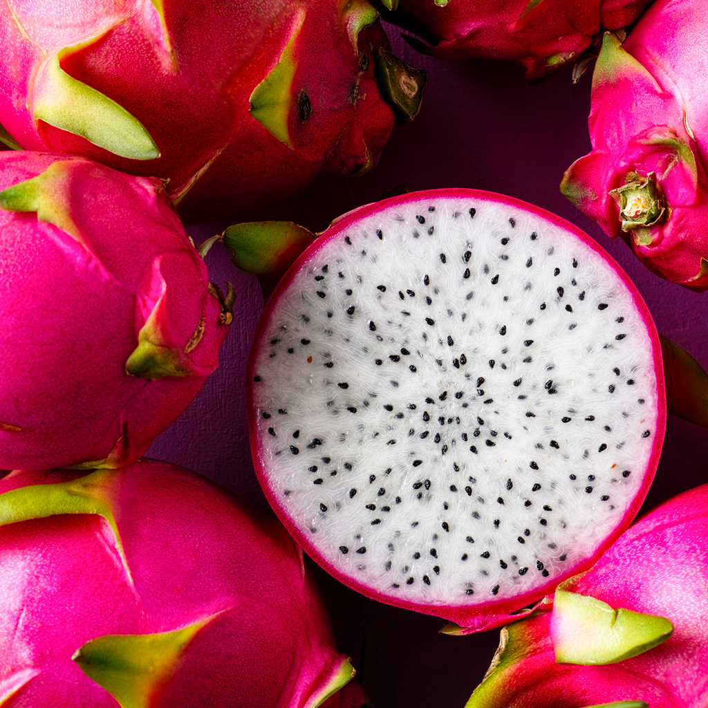 Exotic Plants, NZ Fresh & Freeze Dried Tropical Fruit, Herbal Extracts ...
