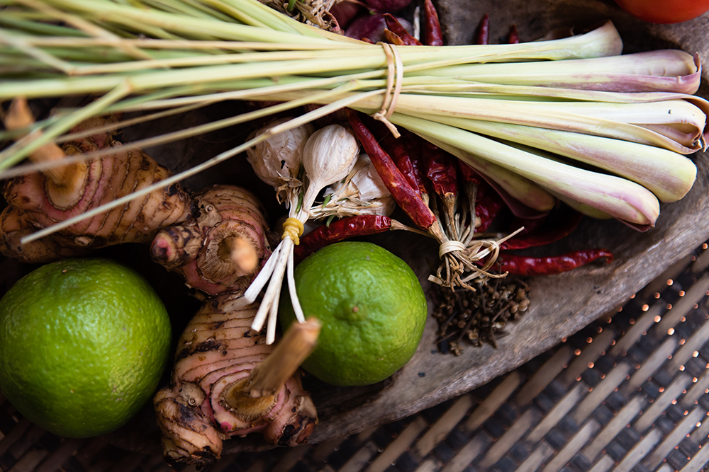 Exotic Plants, NZ Fresh & Freeze Dried Tropical Fruit, Herbal Extracts ...