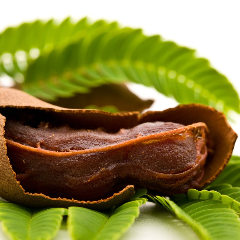 Exotica NZ Plants | Cooking Tamarind
