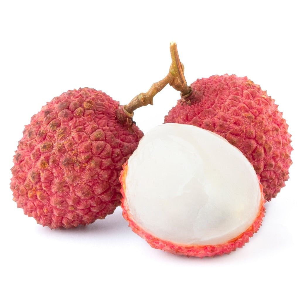 Exotica NZ Plants | Lychee Hill - Cutting Grown